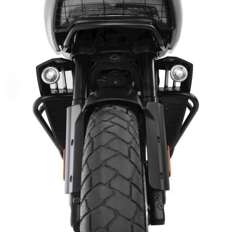Protections Harley-Davidson Pan America / RG Racing AB0086BK